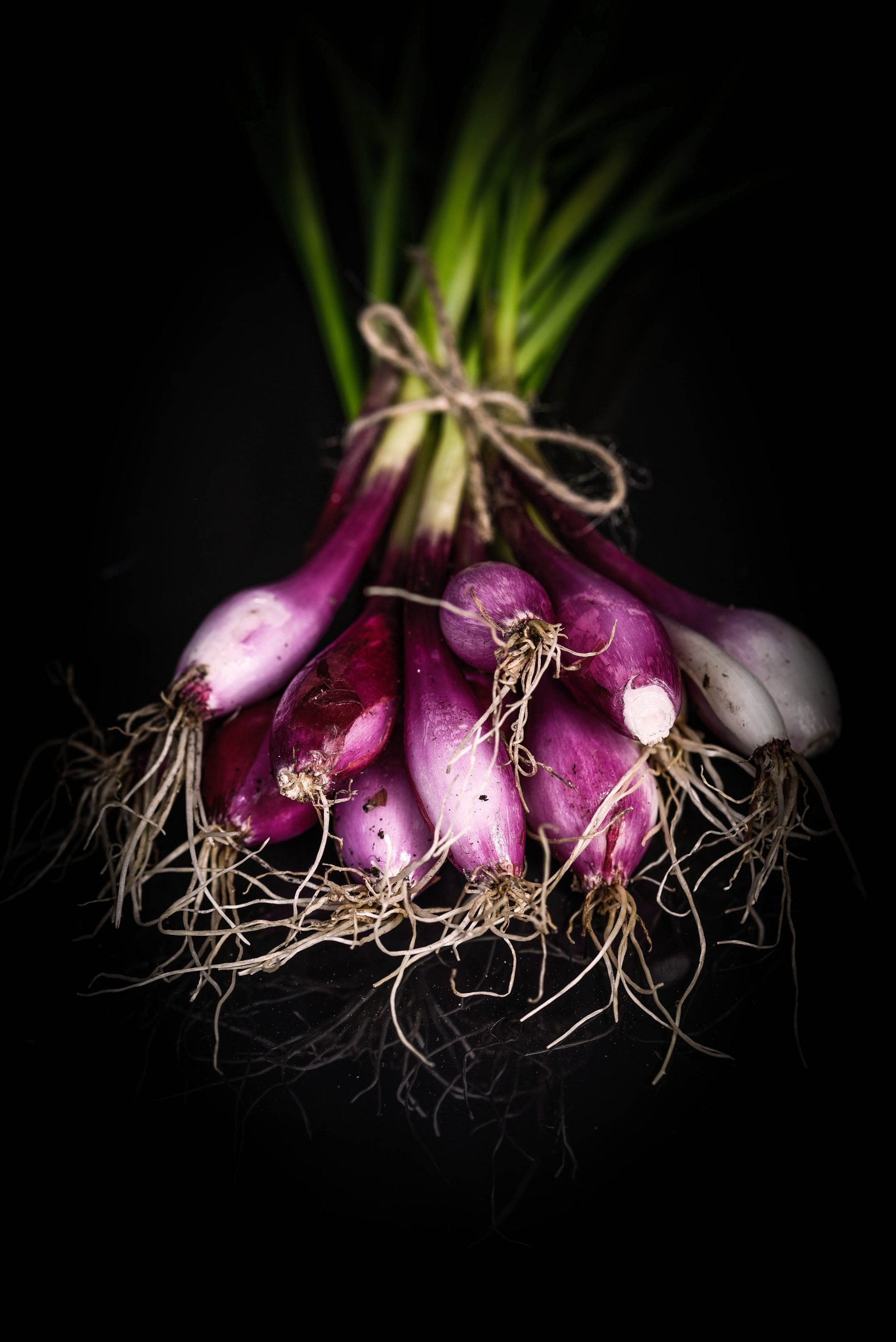 l’oignon frais jusqu’aux racines – Nathalie H. – Photographie culinaire